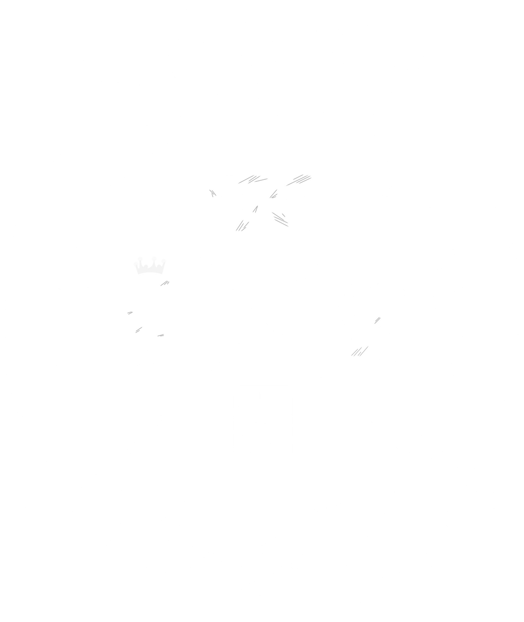 One Piece Card Game - OP06 - Wings Of The Captain - Booster Box (24 Pa